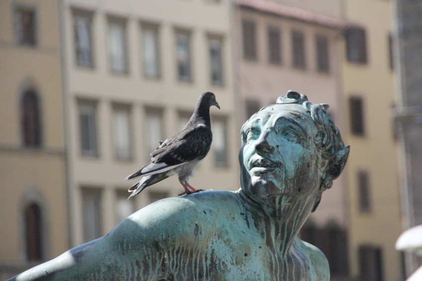 How to Incorporate Garden Statues into Your Landscaping Design - Rank ...